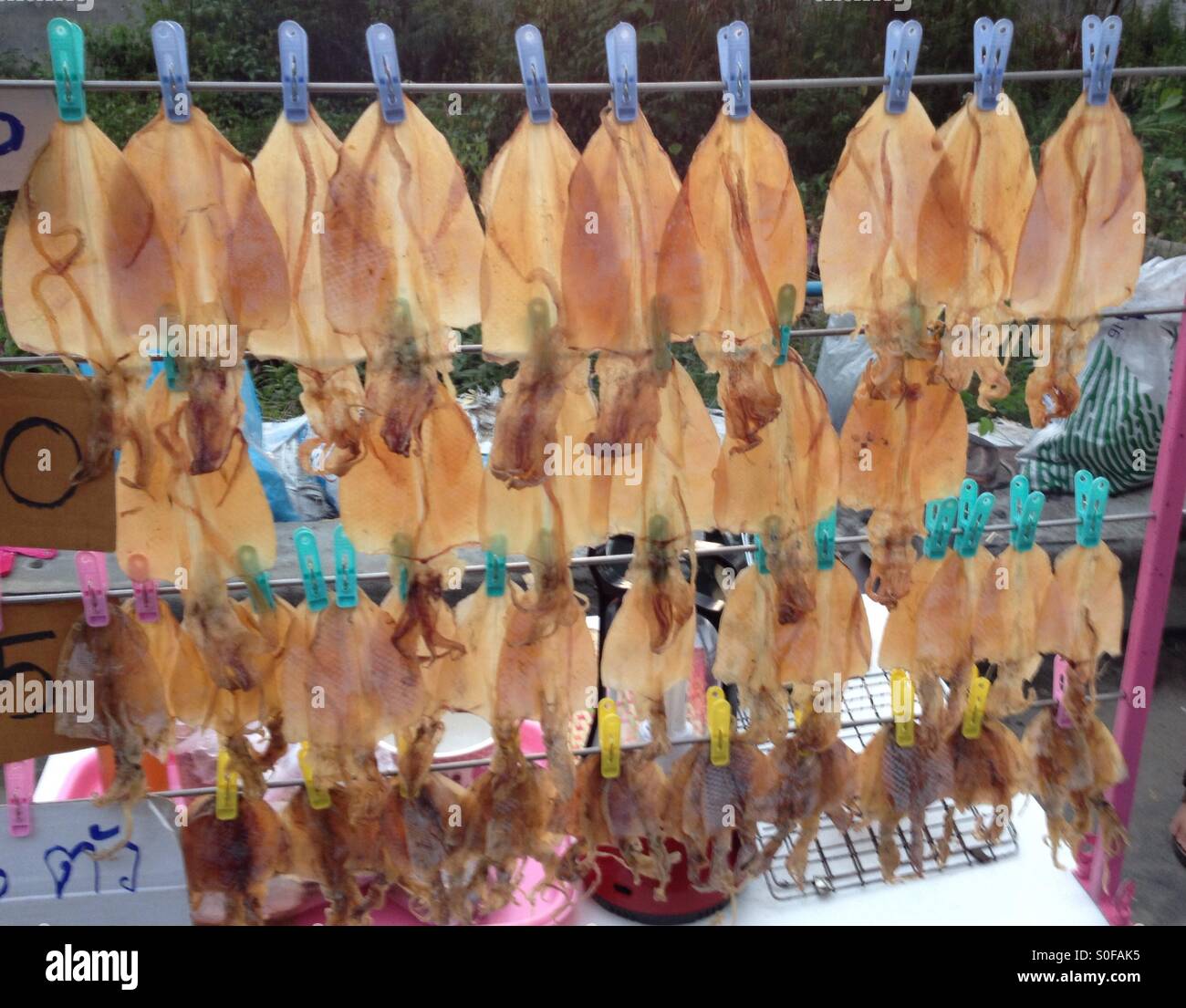 Sun dried squid hi-res stock photography and images - Alamy