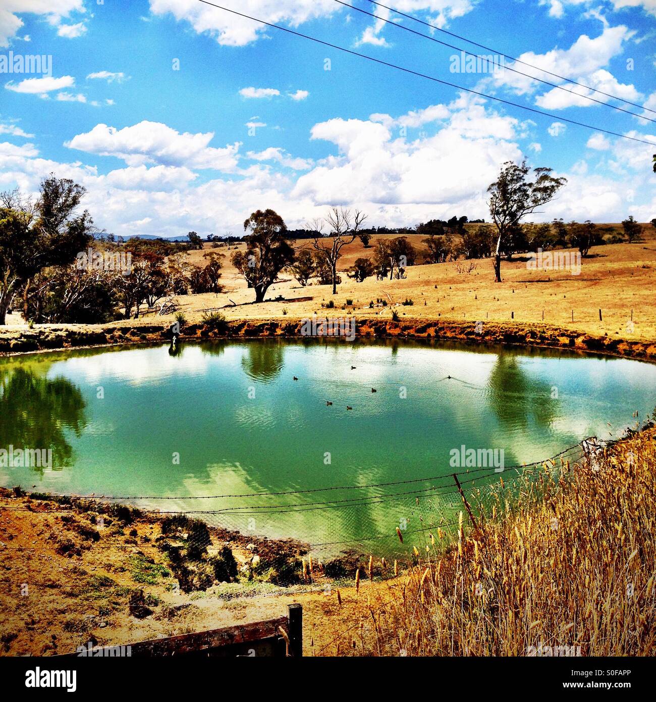Country pond hi-res stock photography and images - Alamy