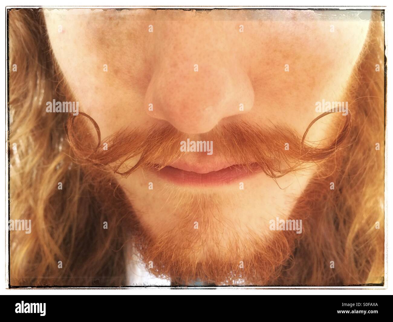 Man with red hair and waxed moustache Stock Photo - Alamy