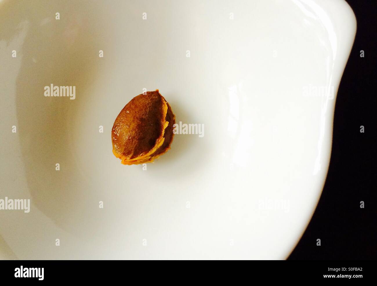 Apricot stone hi-res stock photography and images - Alamy