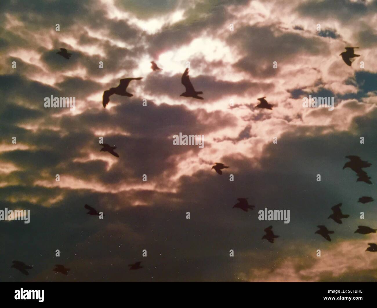 Flying shadows hi-res stock photography and images - Alamy