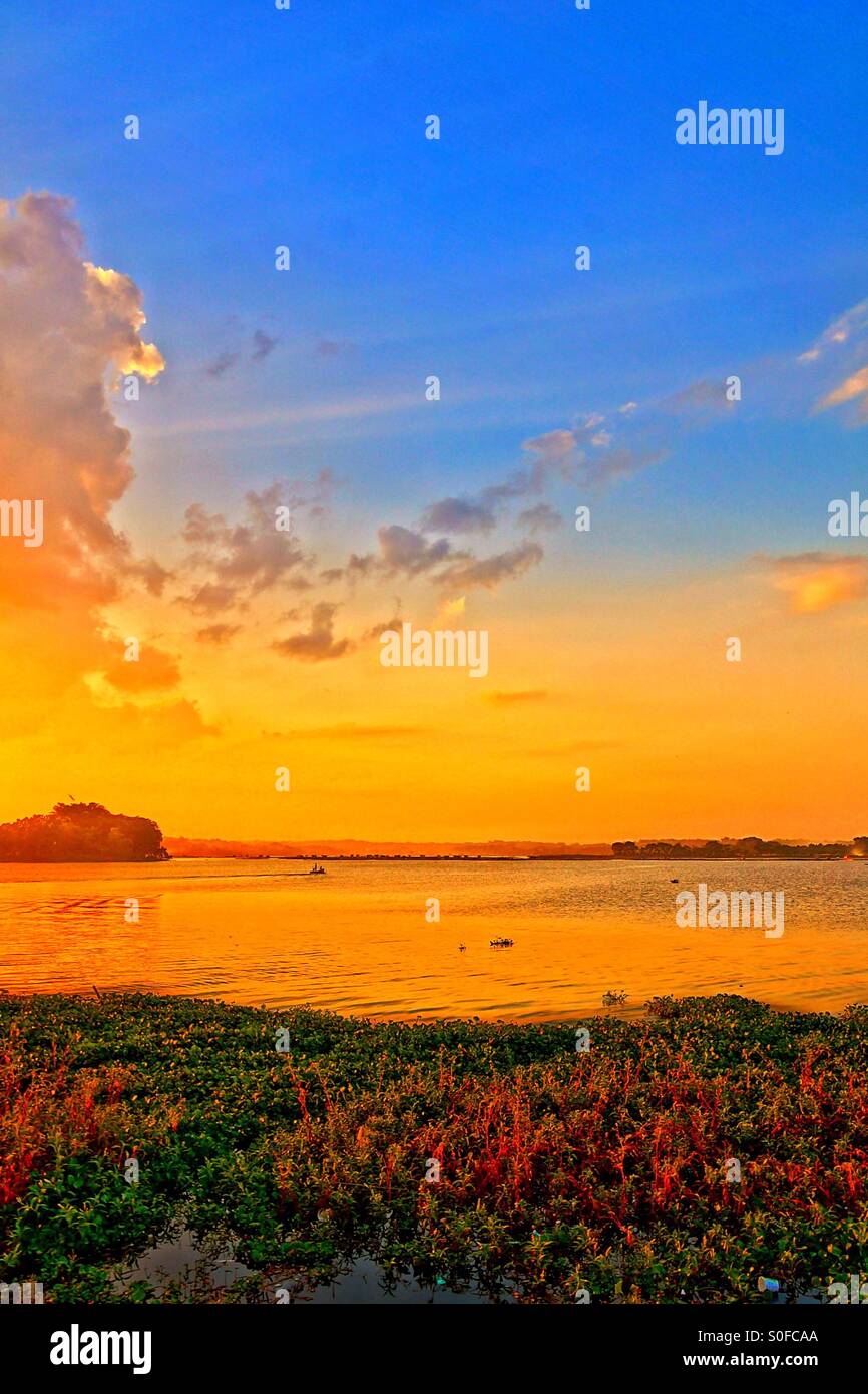 Blue gold hi-res stock photography and images - Alamy