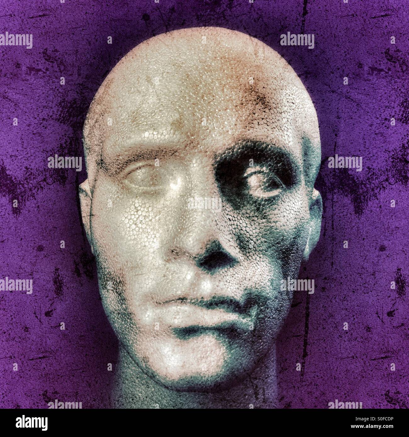 Head of man Stock Photo - Alamy