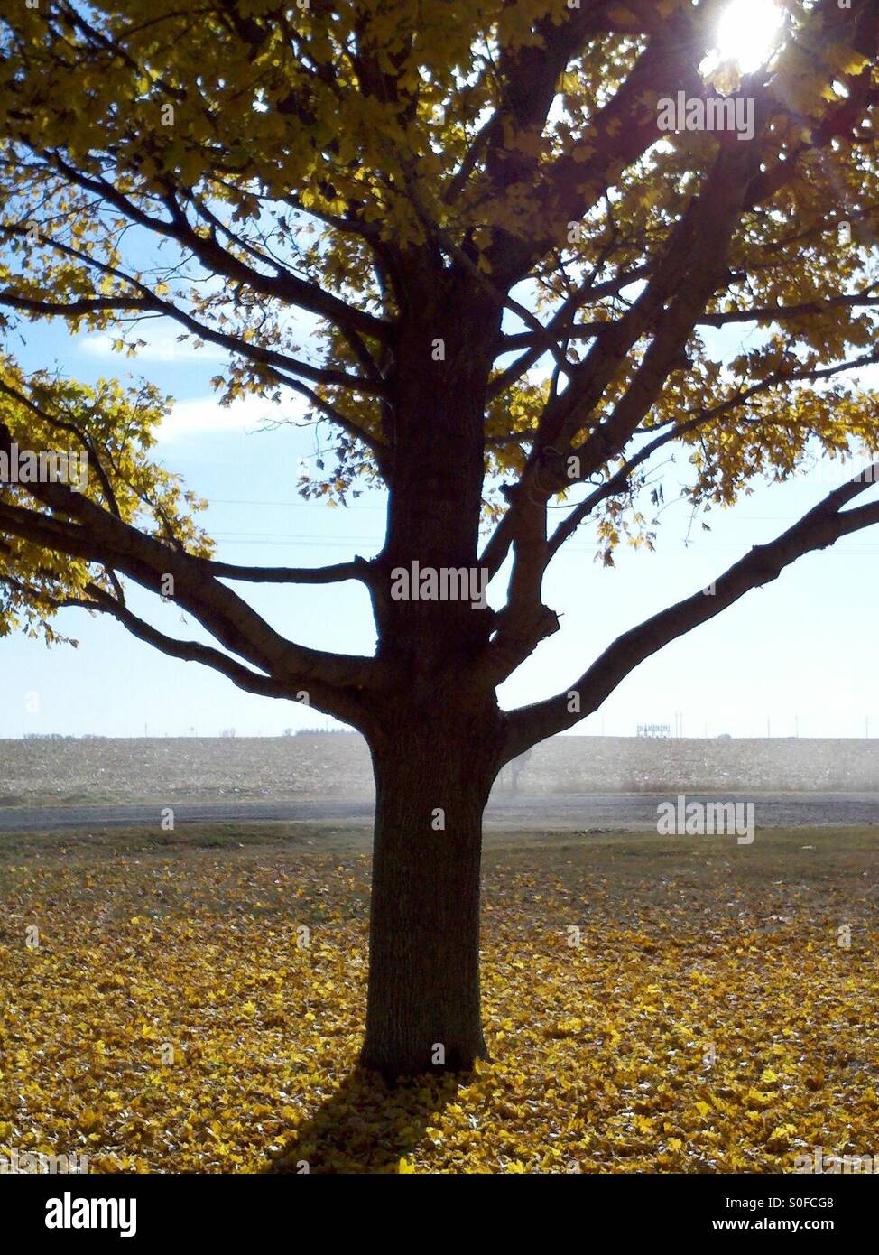 Midwest seasons hi-res stock photography and images - Alamy