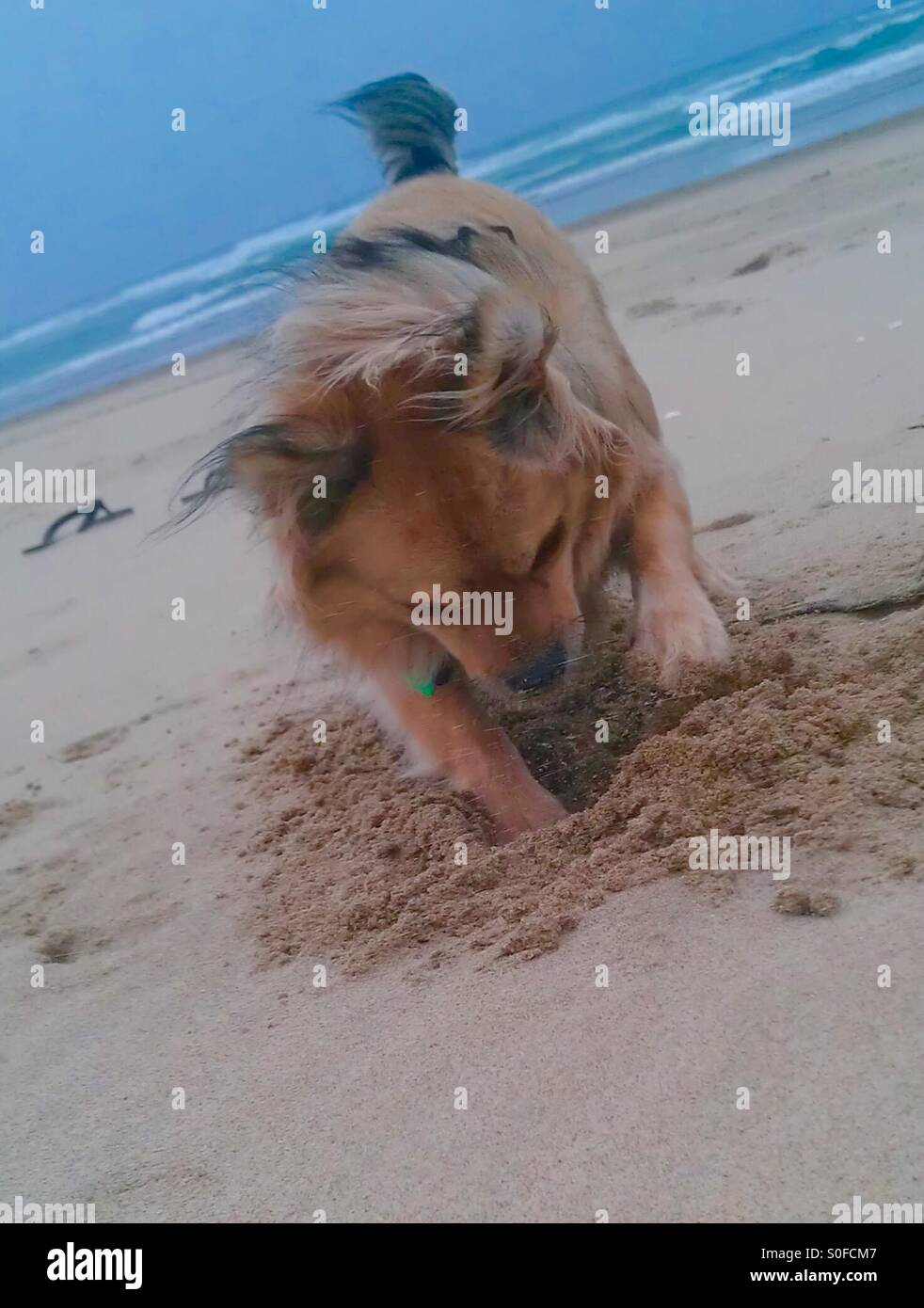 Dig the beach hi-res stock photography and images - Alamy