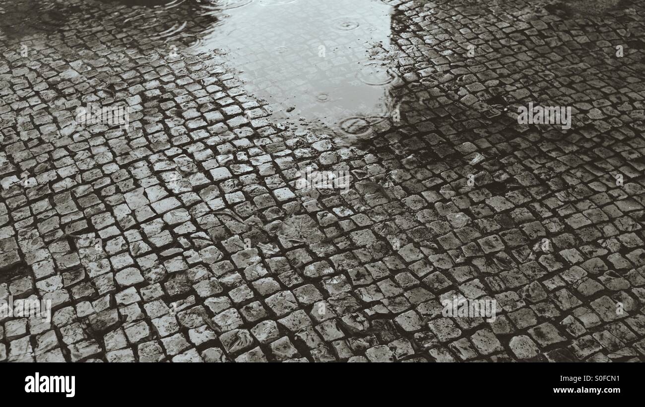 Cobblestone rain hi-res stock photography and images - Alamy