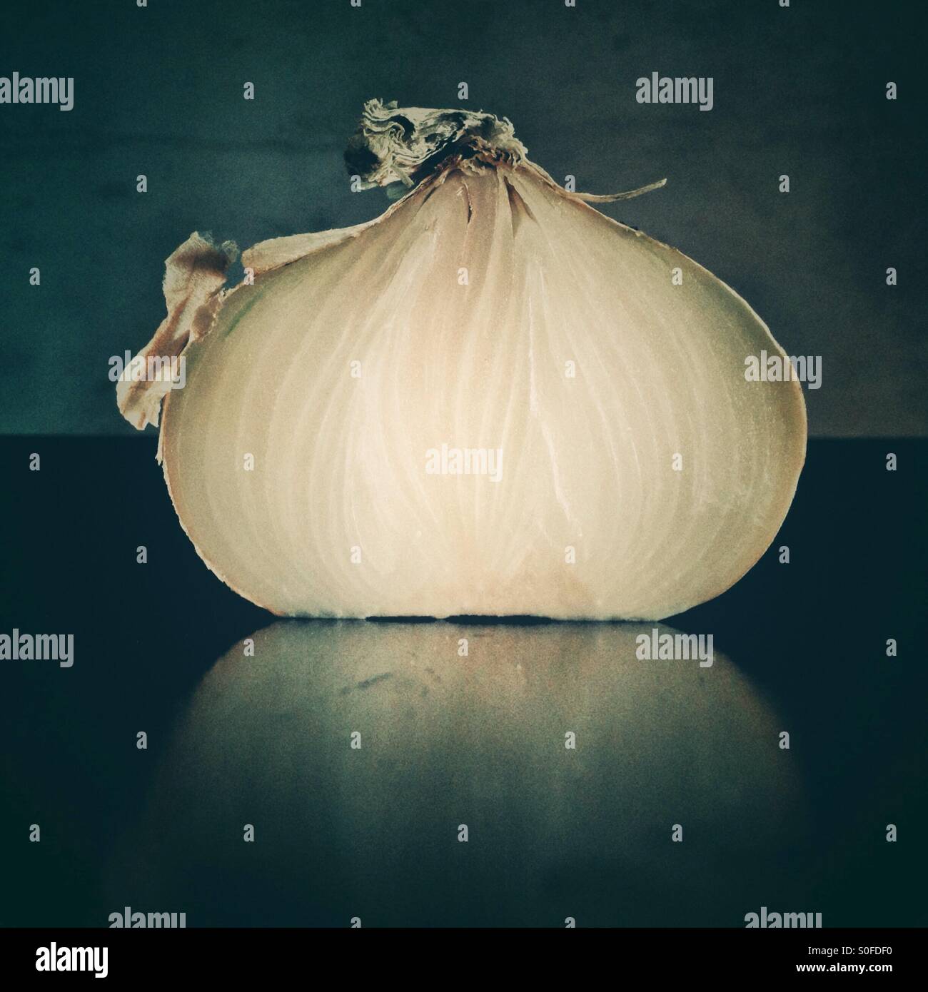 Inside of an onion hi-res stock photography and images - Alamy