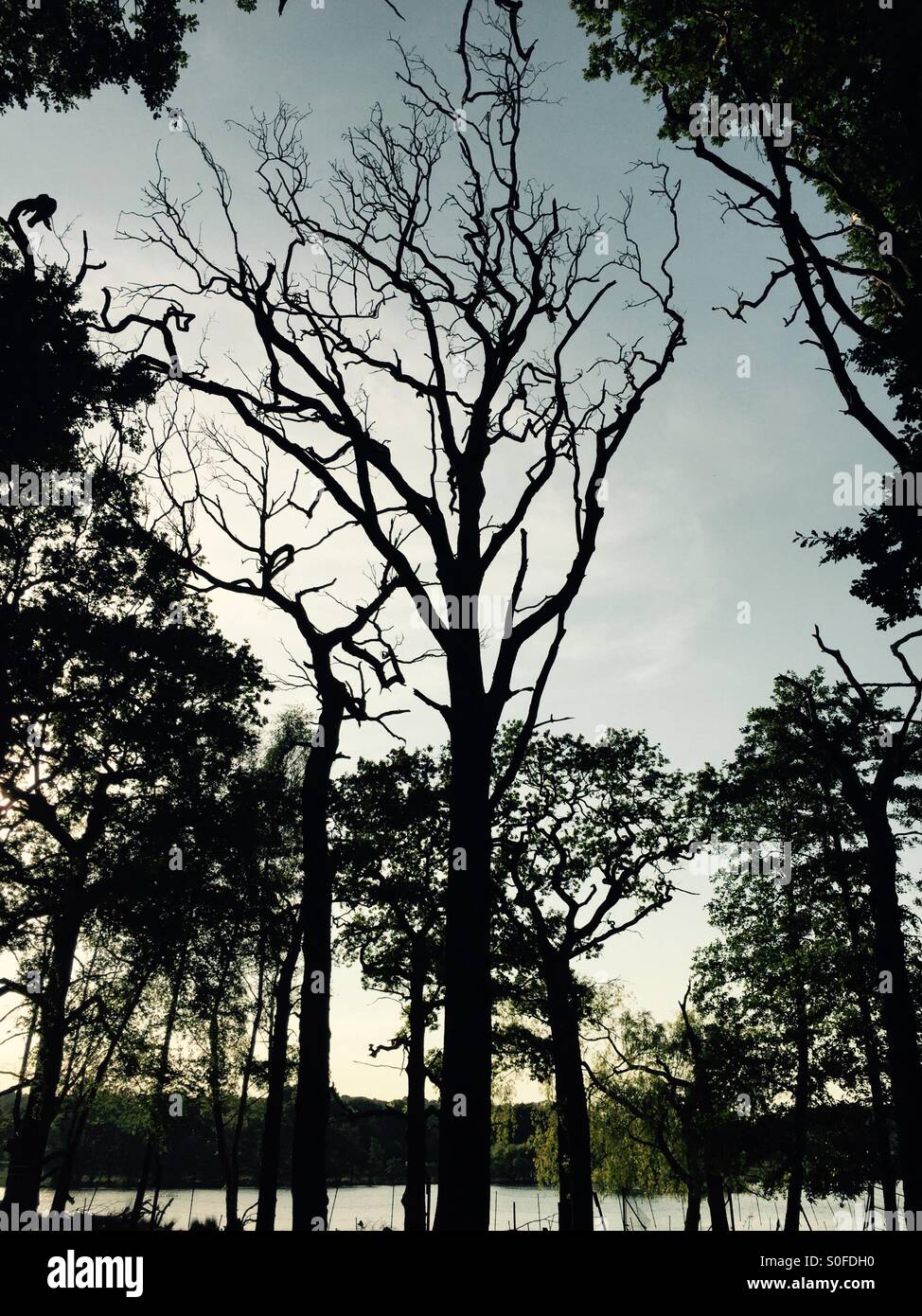 Soar high above hi-res stock photography and images - Alamy