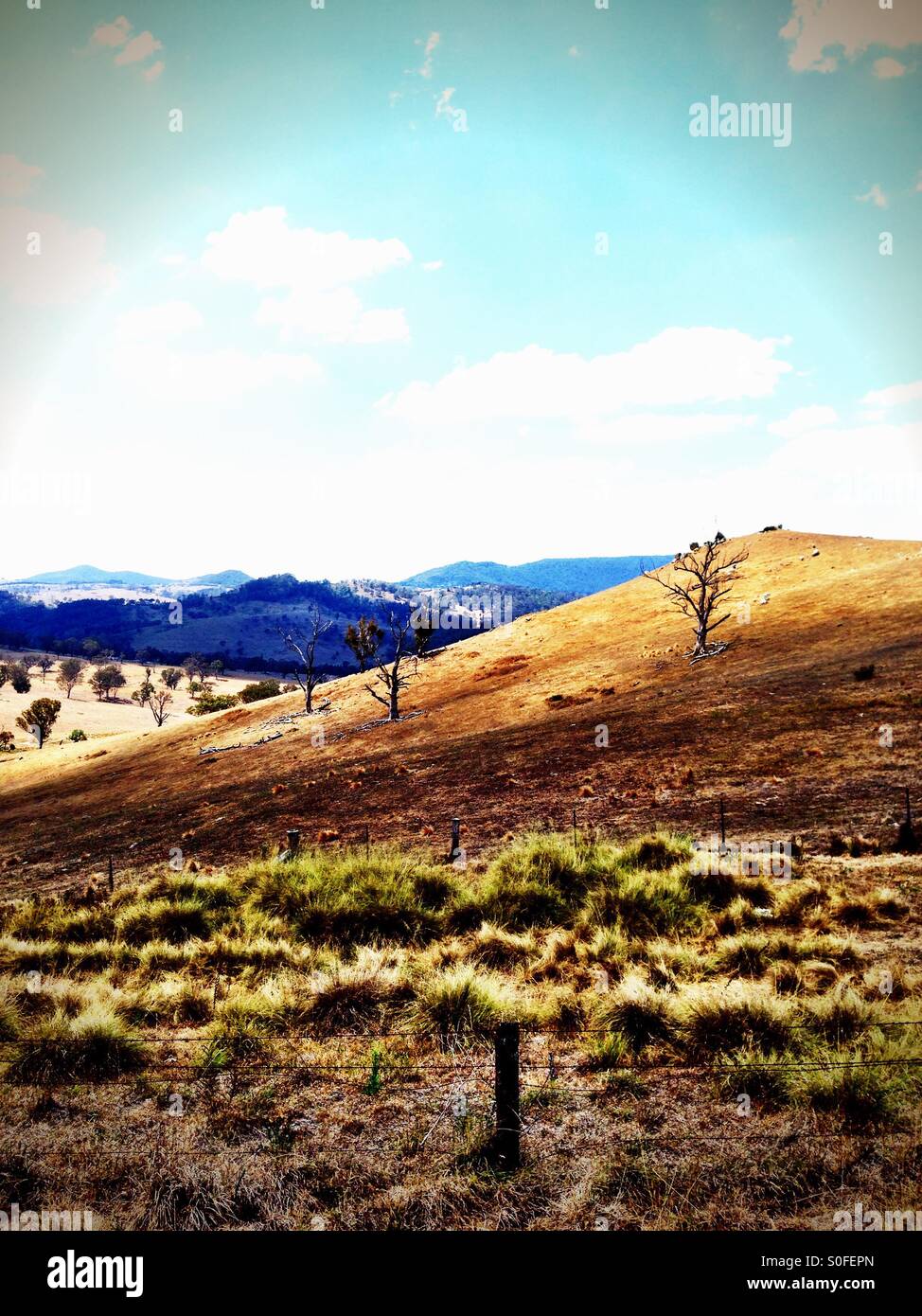 Dry bush country hi-res stock photography and images - Alamy