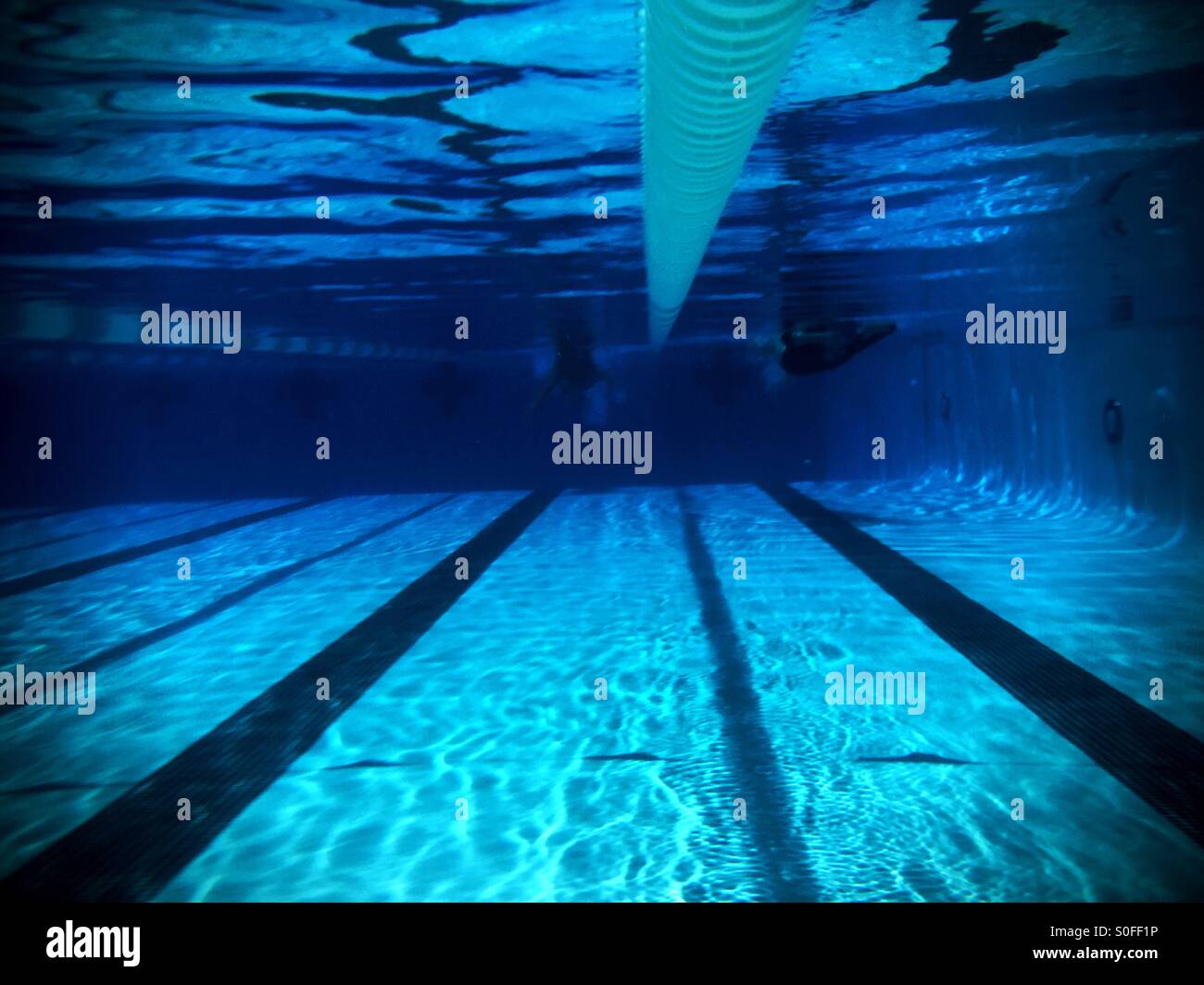 Underwater length of pool view of two swimmers competing. San Francisco ...
