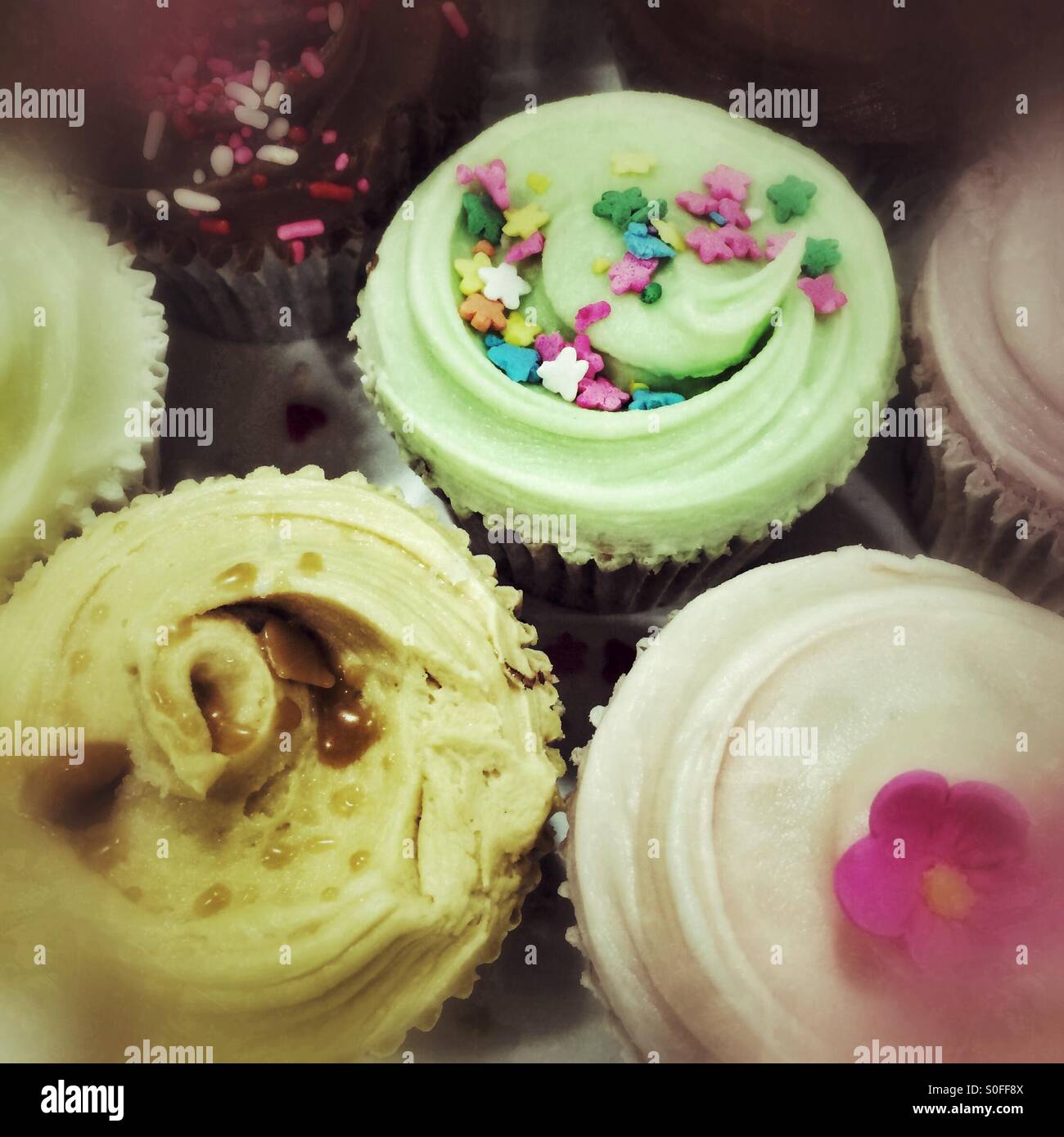 Fancy iced cup cakes Stock Photo - Alamy