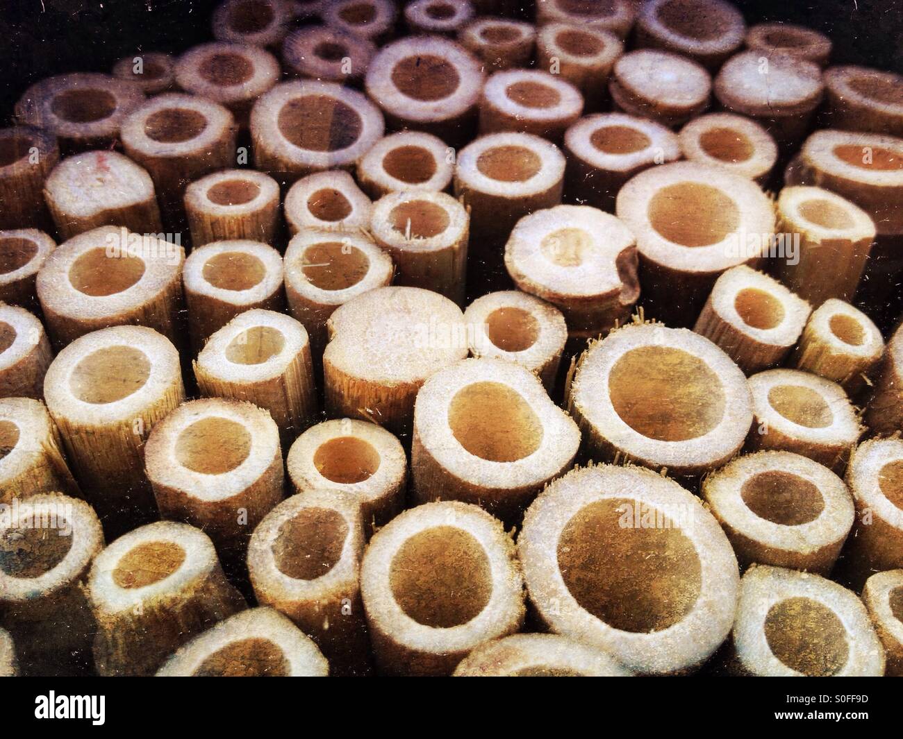 Round wooden circles hi-res stock photography and images - Alamy