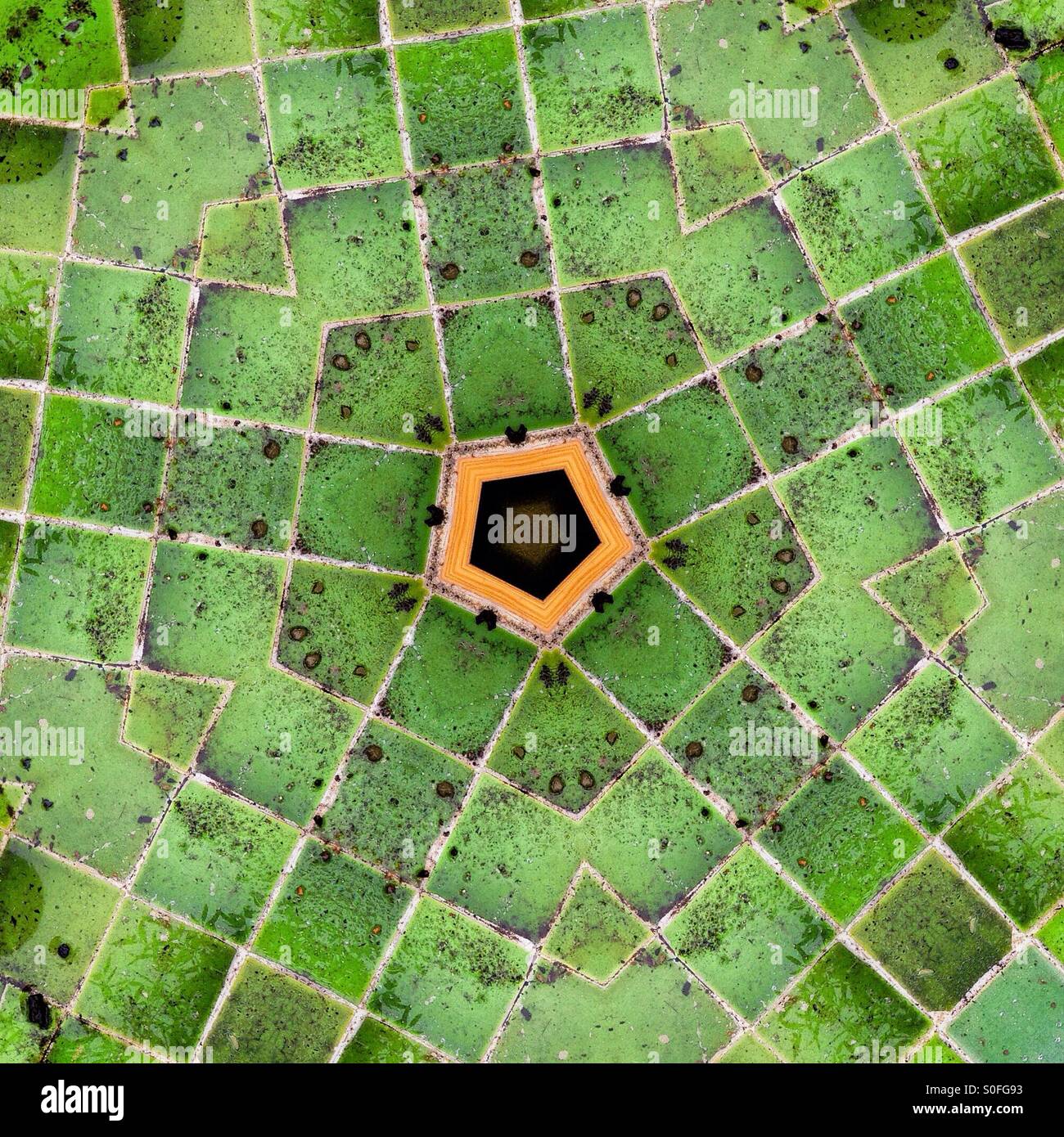 Kalidascope image of green tiles covered in water and debris Stock ...