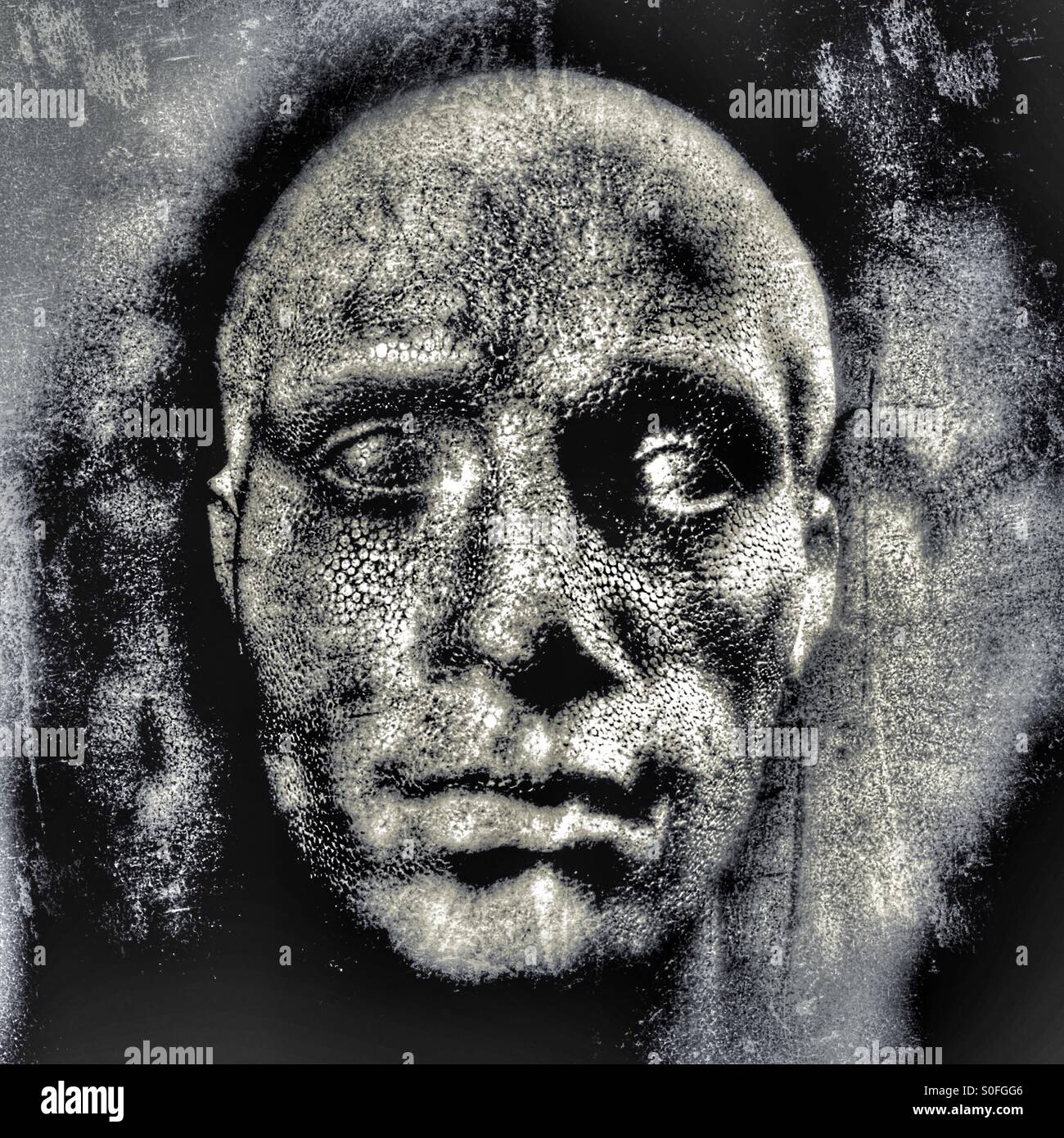 Head of man Stock Photo - Alamy