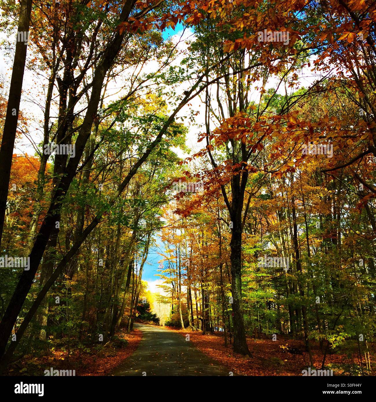 Hidden roads hi-res stock photography and images - Alamy