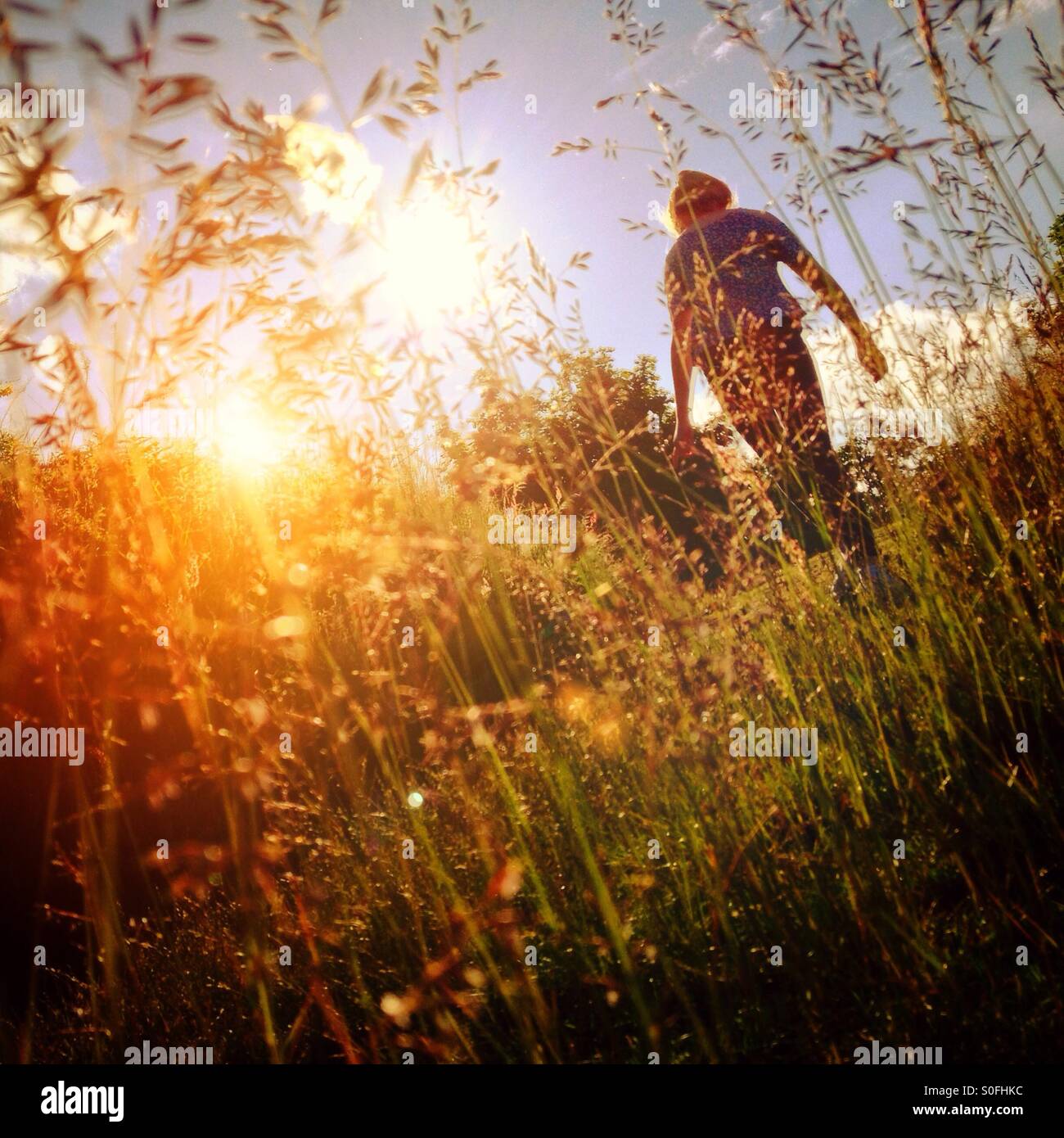 Girl walking along footpath with long grass and sun Stock Photo - Alamy