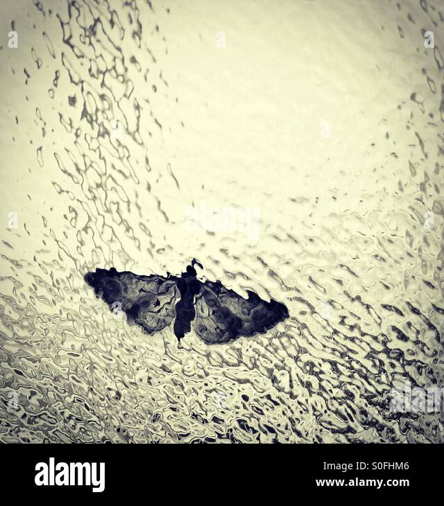 Distorted vision hi-res stock photography and images - Alamy