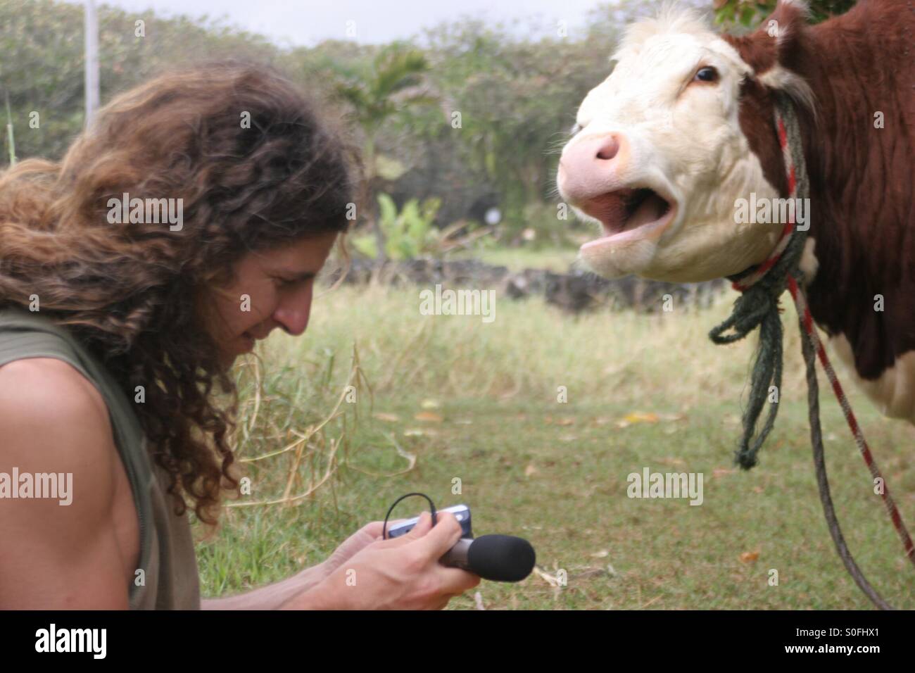 Record a hi-res stock photography and images - Alamy