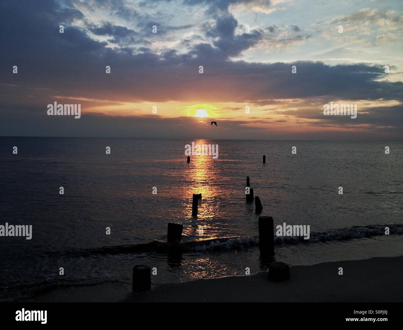 Cape may beach hi-res stock photography and images - Alamy