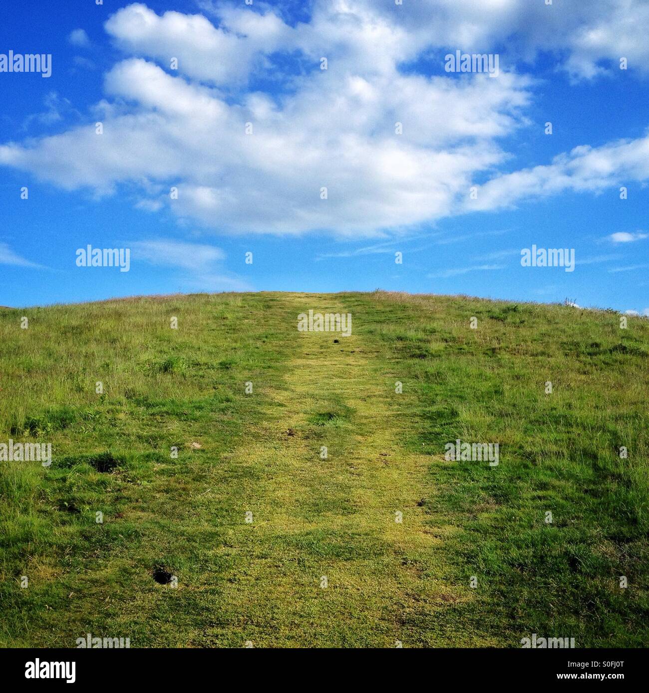 Path leading over a grassy hill Stock Photo - Alamy