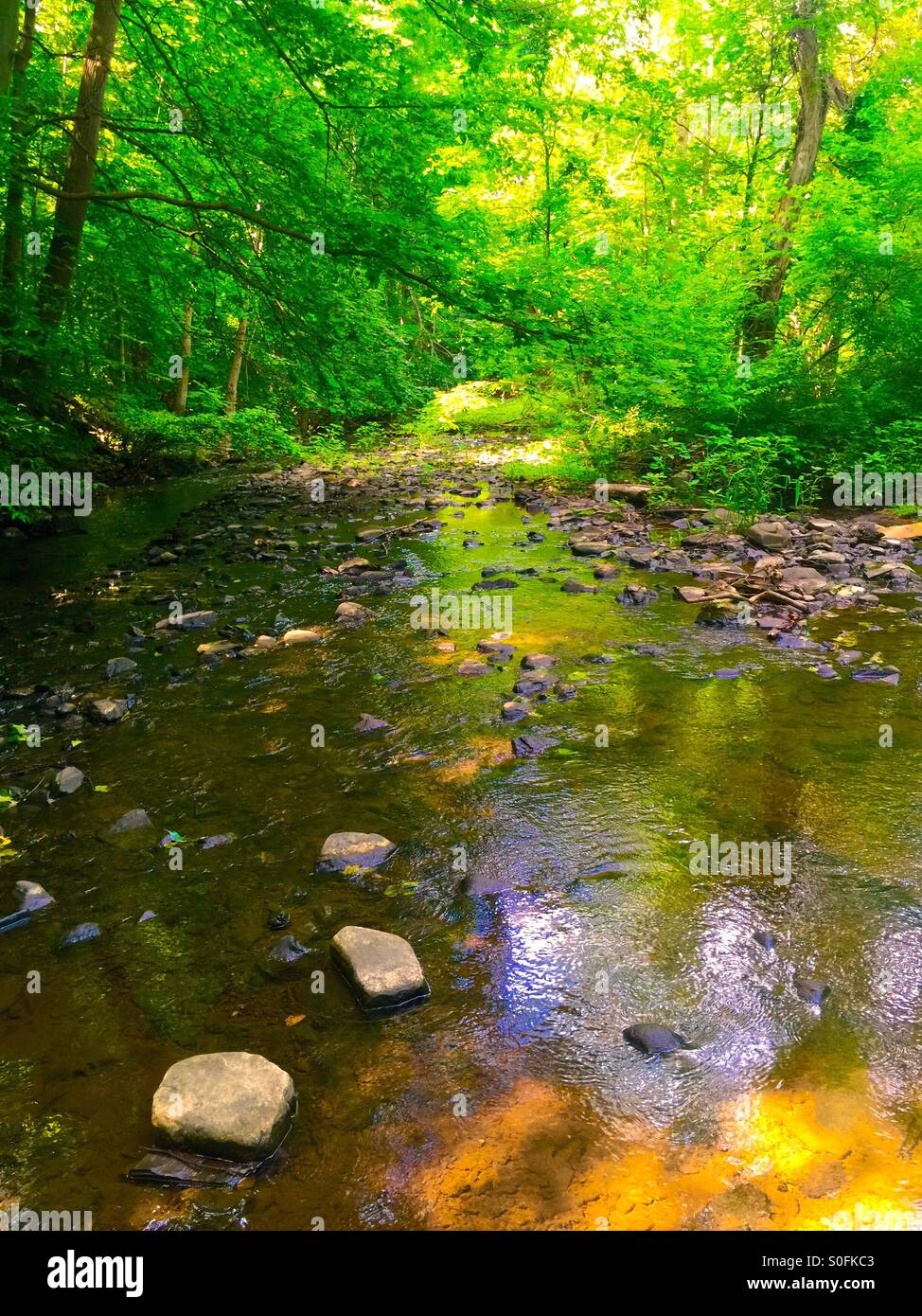 A beautiful stream runs low Stock Photo - Alamy