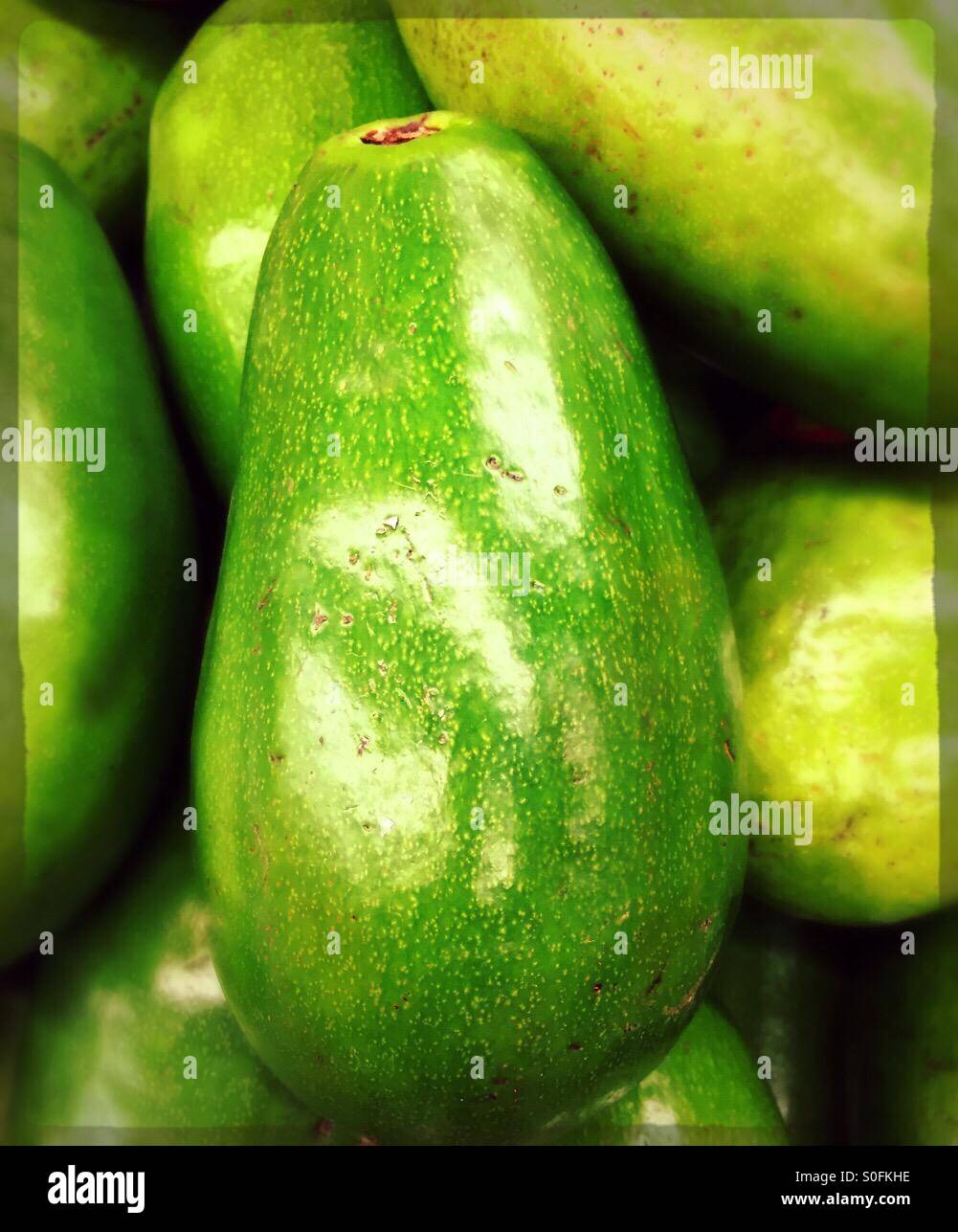 SlimCado, Lite Florida avocado Stock Photo - Alamy