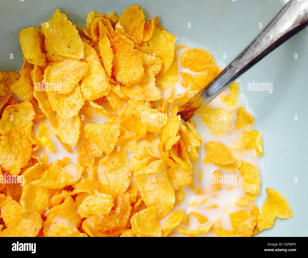 Bowl of cornflakes Stock Photo - Alamy