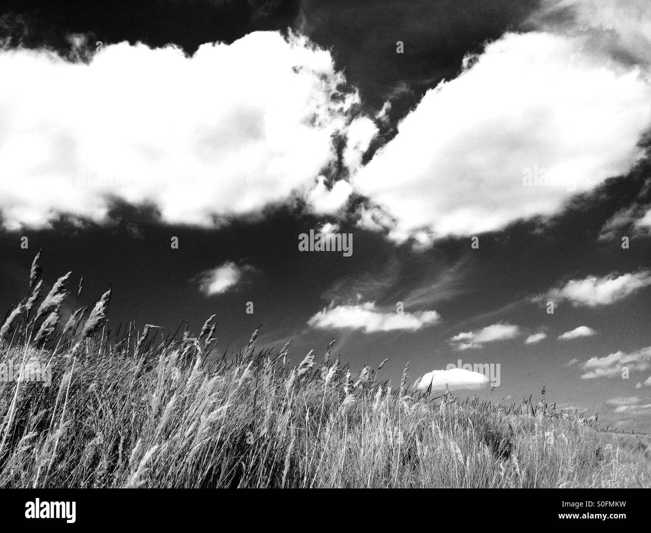 Coastal street uk Black and White Stock Photos & Images - Alamy