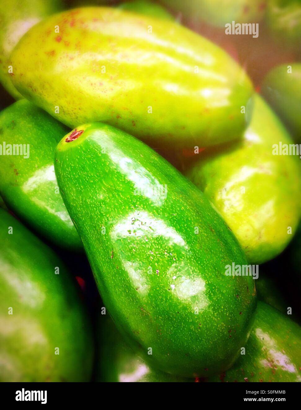 SlimCado, Lite Florida Avocado Stock Photo - Alamy