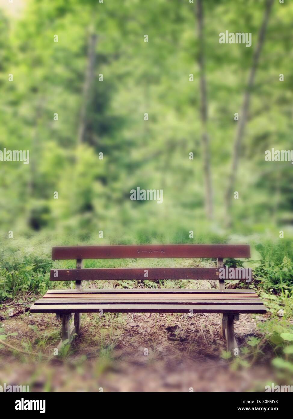 Empty bench trees park bench hi-res stock photography and images - Alamy
