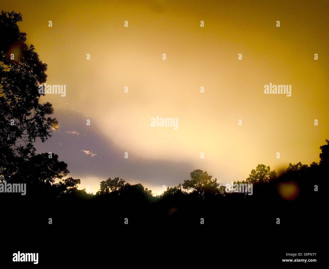 Tree silhouettes and fading sunshine clouds Stock Photo - Alamy