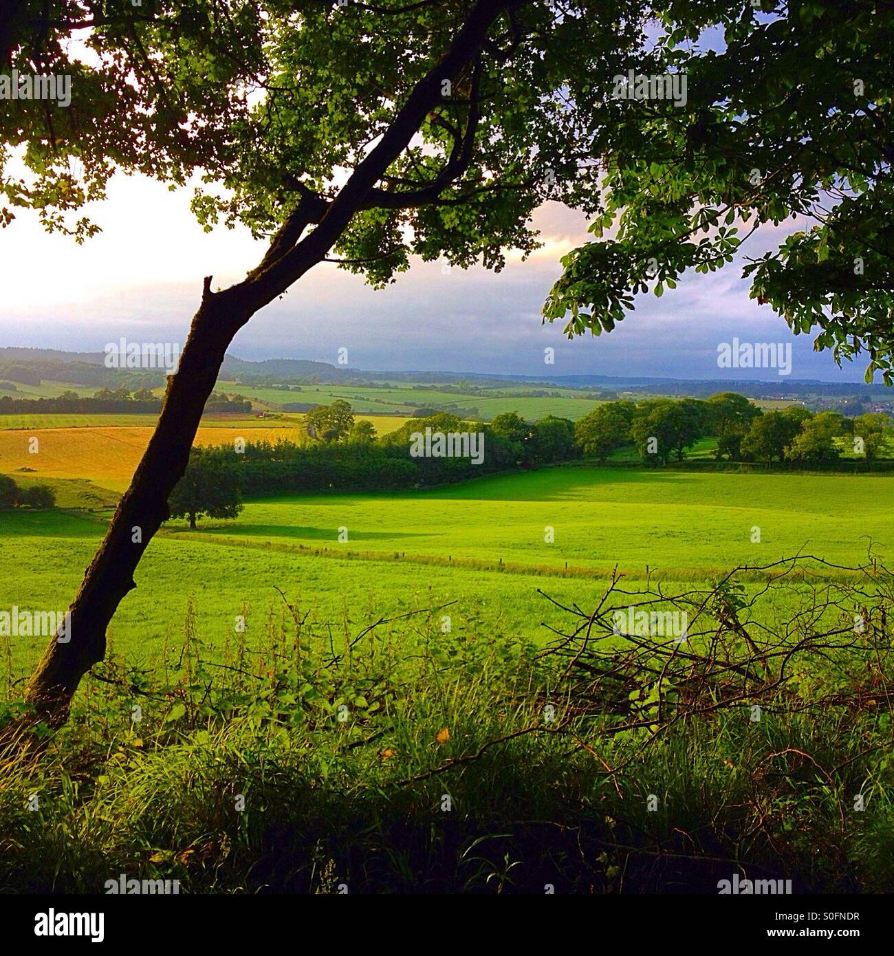 Landscape wiltshire hi-res stock photography and images - Alamy