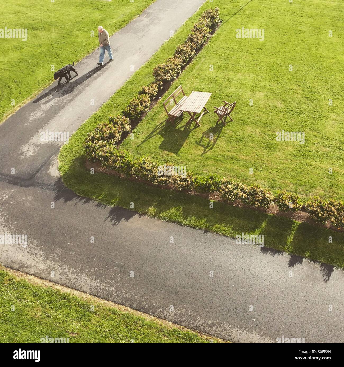 Miles the dog hi-res stock photography and images - Alamy