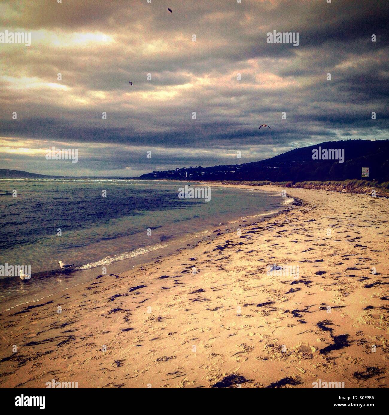 Mornington peninsula victoria hi-res stock photography and images - Alamy