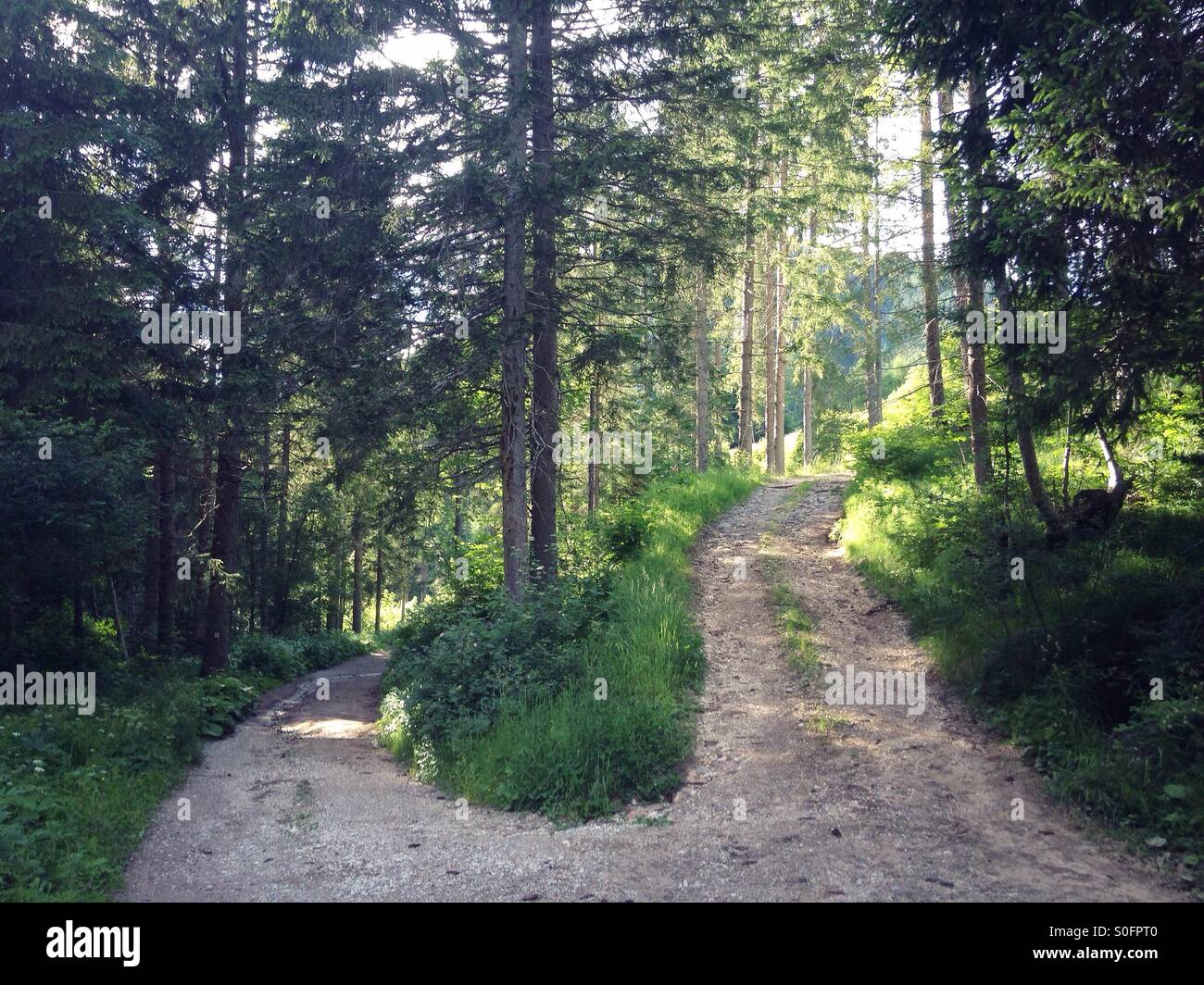 Choose your way Stock Photo - Alamy