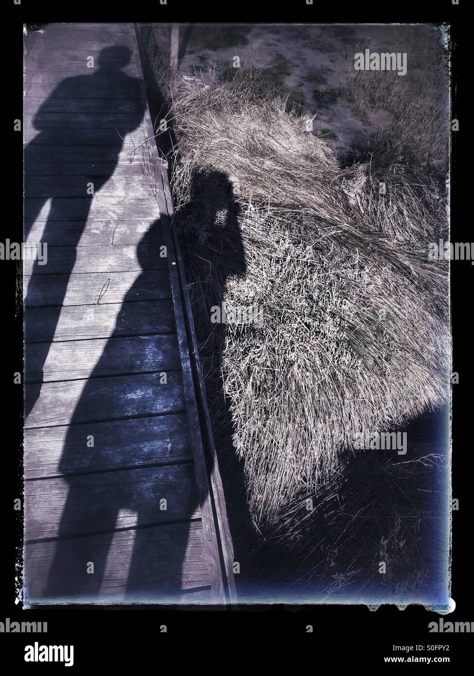 Two figures' shadows on wooden walkway Stock Photo - Alamy