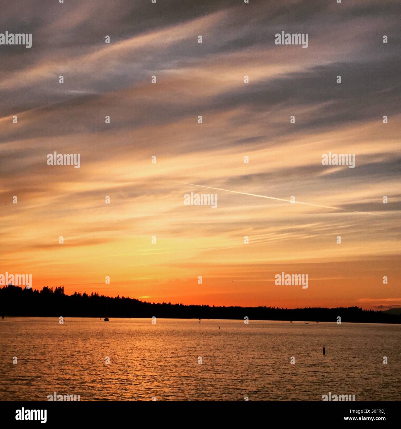 South puget sound hi-res stock photography and images - Alamy