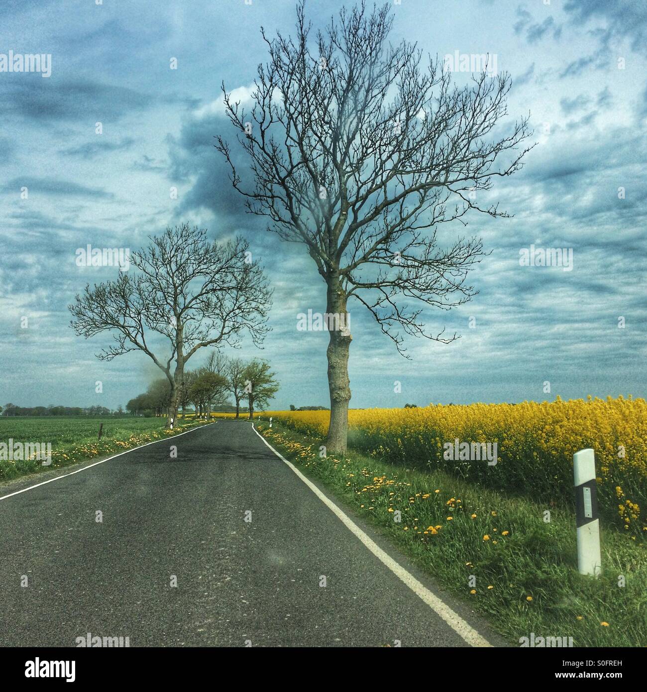 Kap Arkona - Germany Stock Photo - Alamy