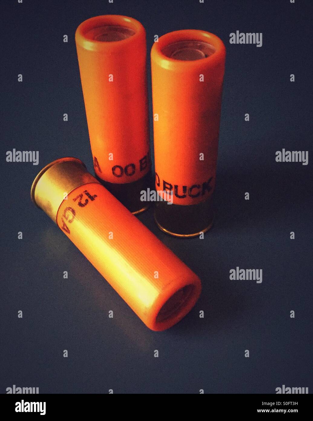 12 shells hi-res stock photography and images - Alamy
