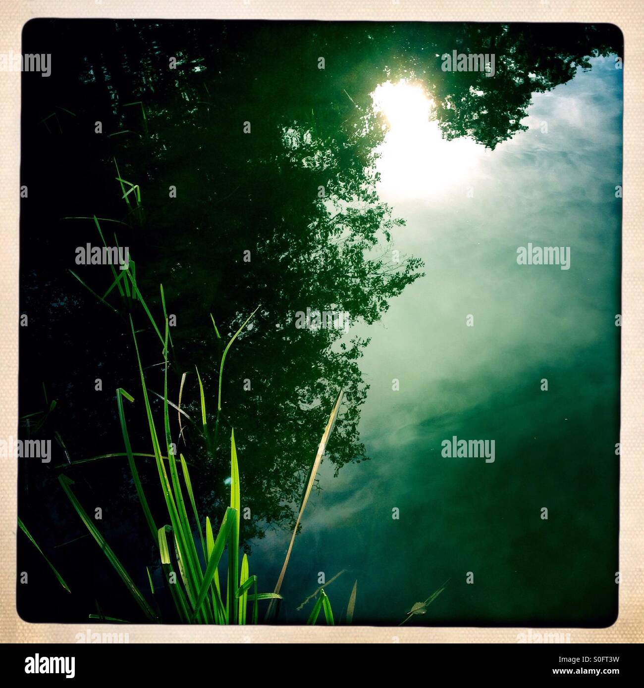 Reflection of the sun and trees hi-res stock photography and images - Alamy