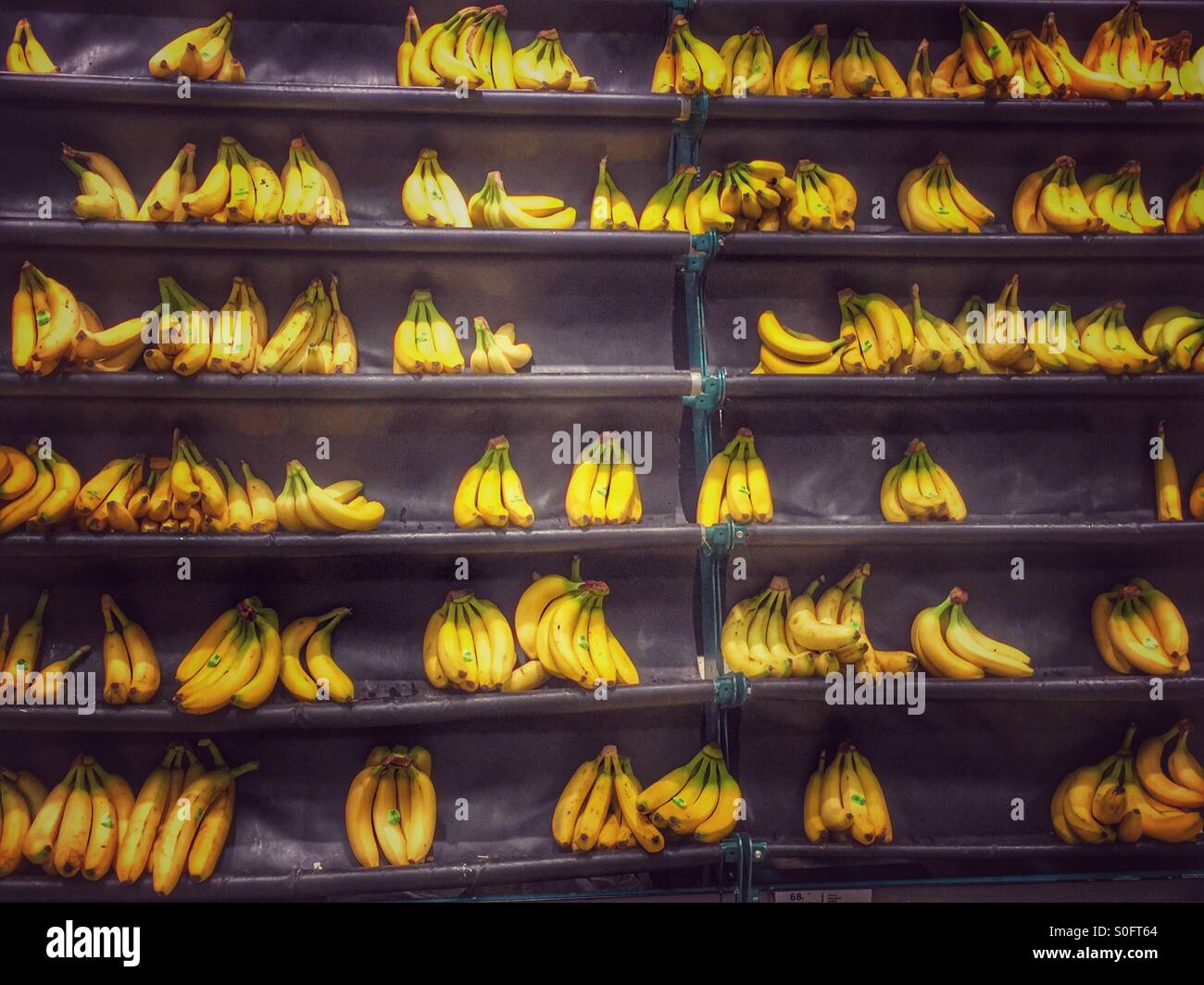 Bunches Of Bananas Stock Photos & Bunches Of Bananas Stock Images - Alamy