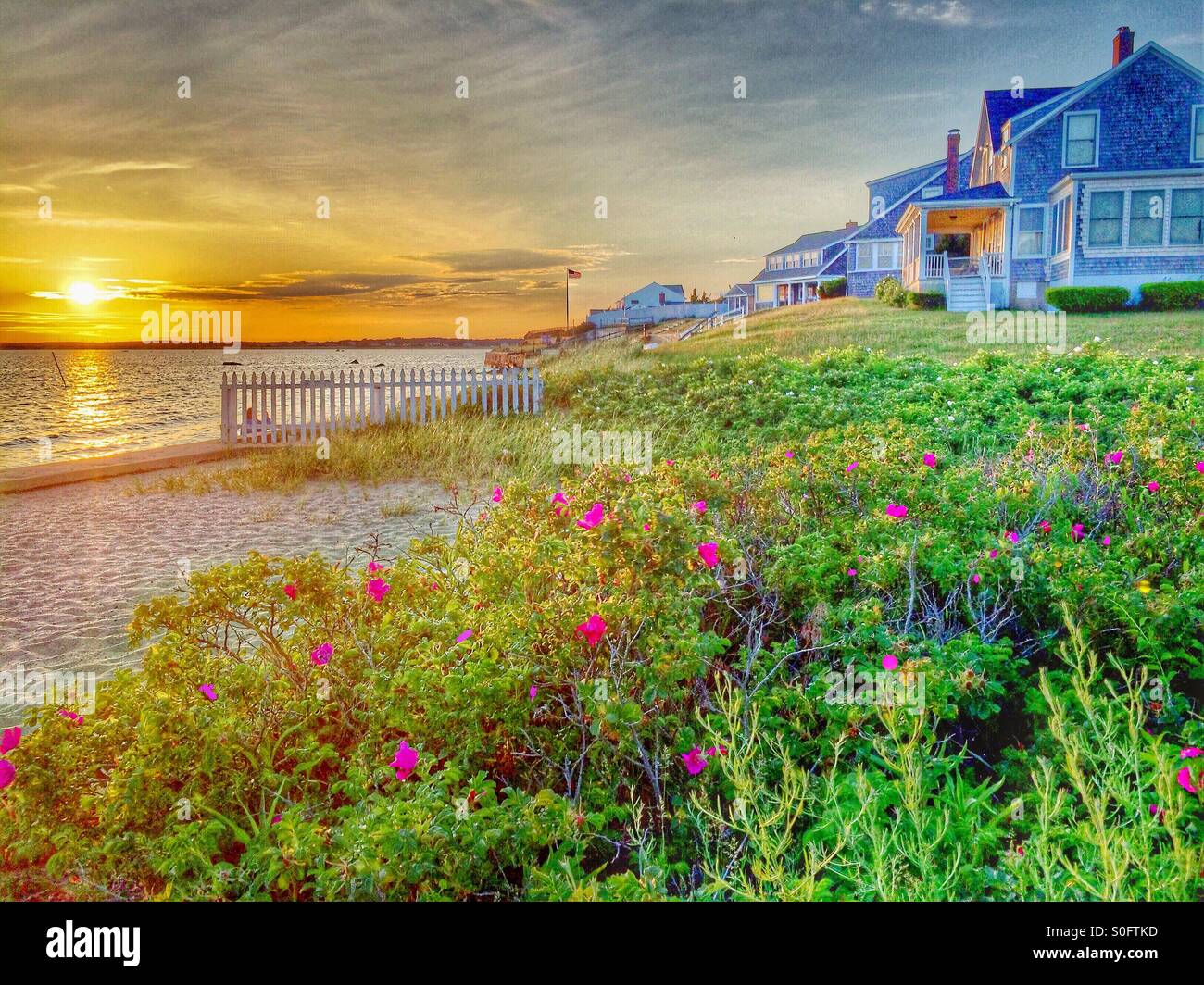 Cape cod house flowers hi-res stock photography and images - Alamy