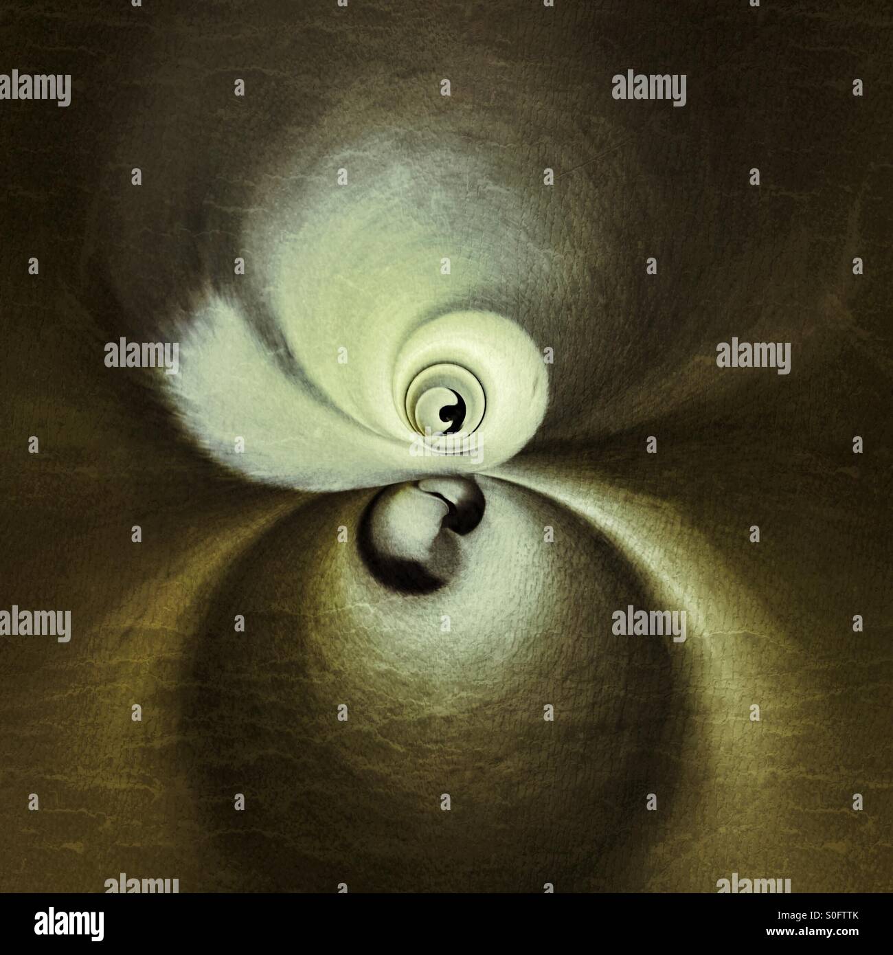 Flower figure hi-res stock photography and images - Alamy