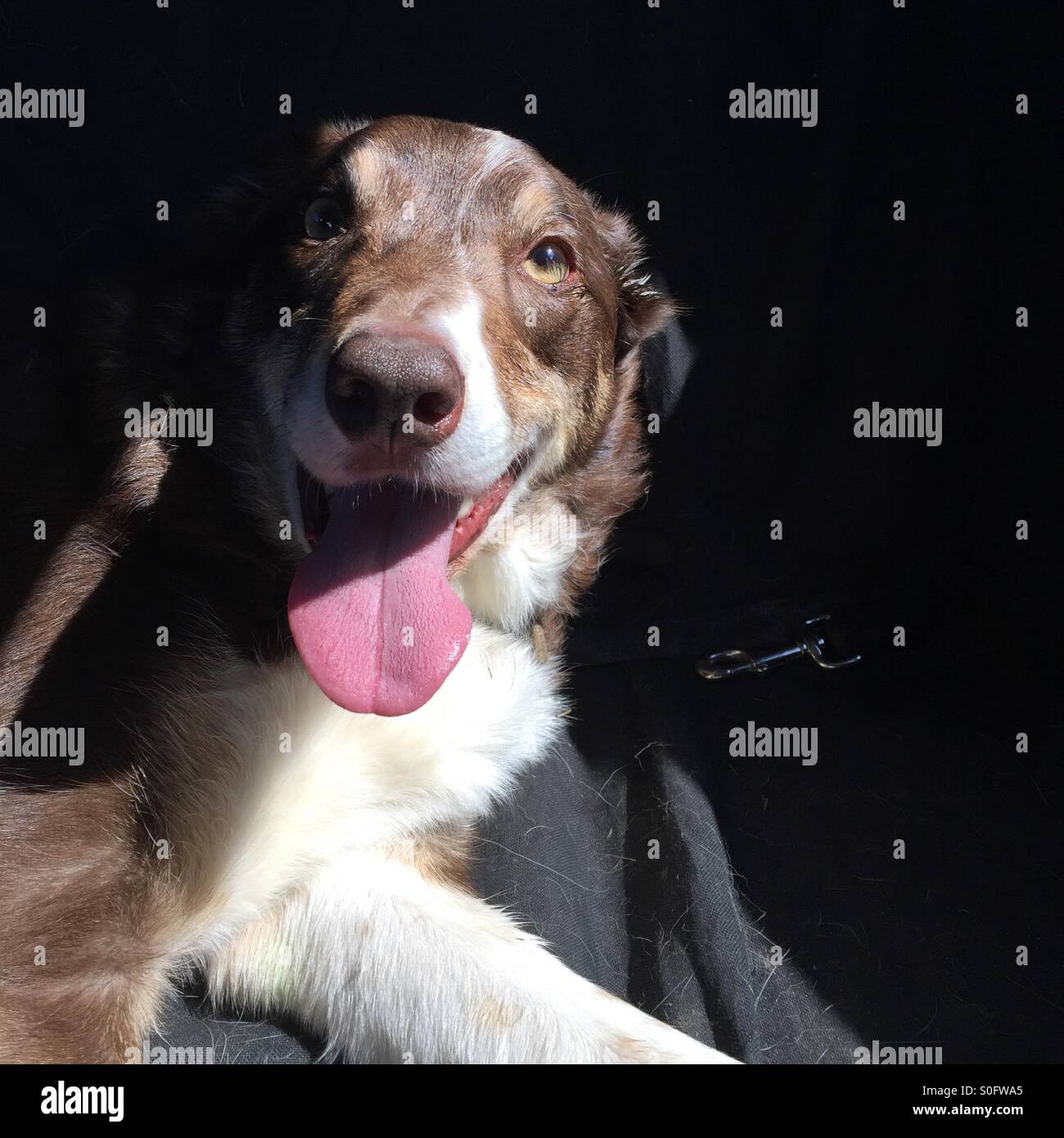 The ride home hi-res stock photography and images - Alamy