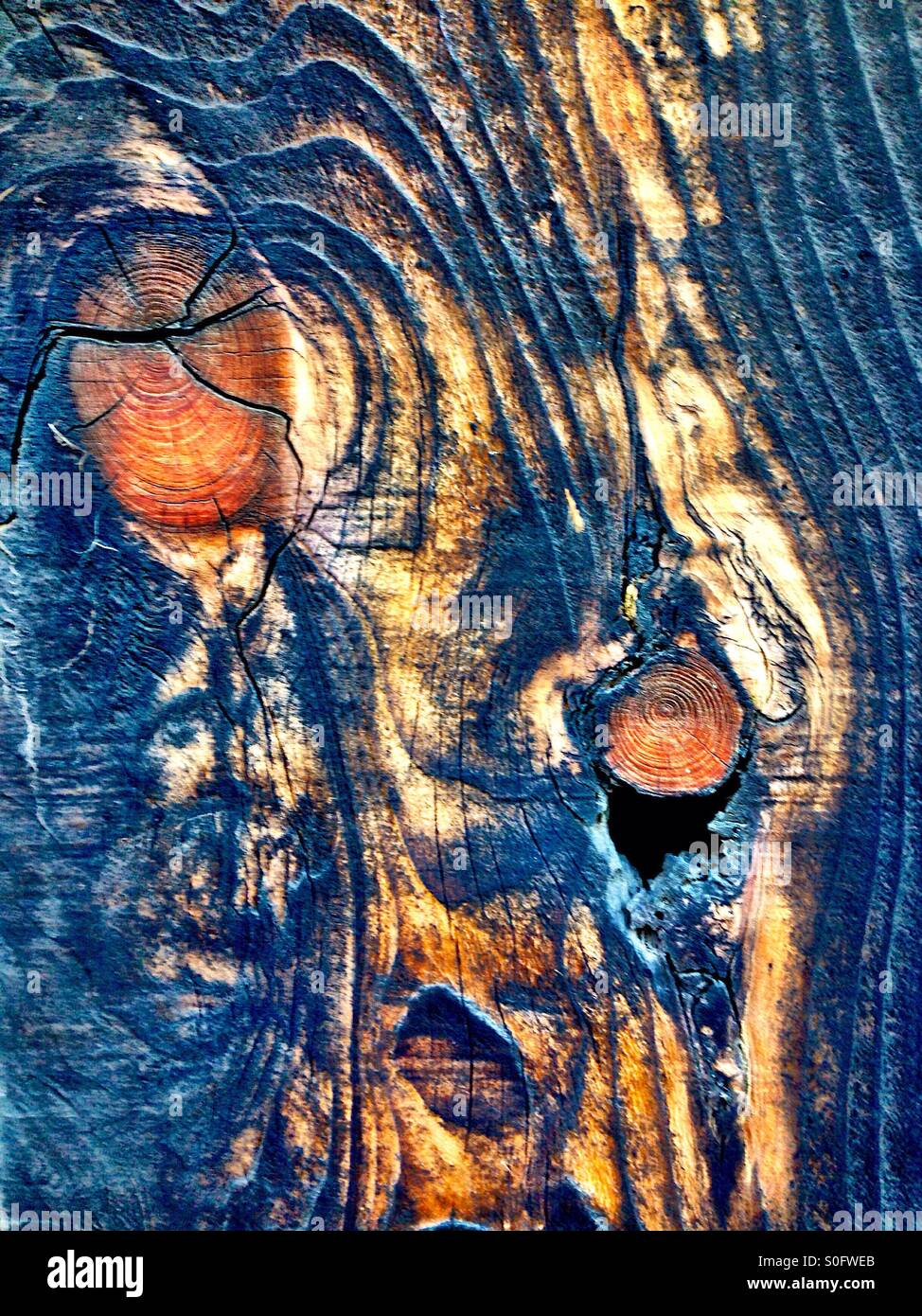 Knotty old board Stock Photo - Alamy