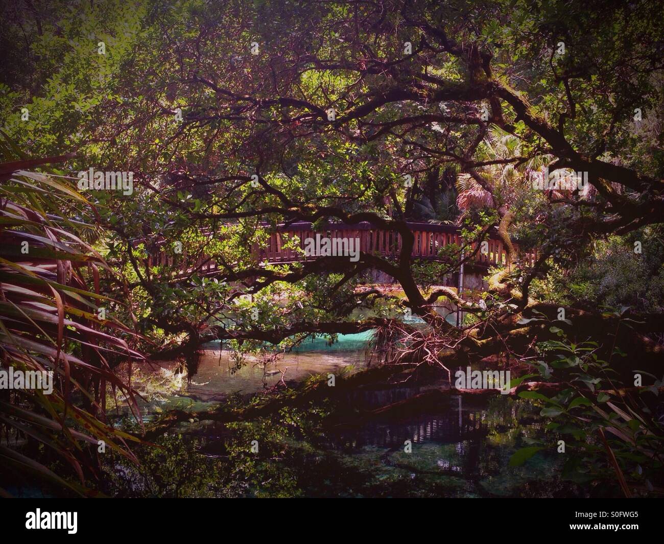 Sand boils hi-res stock photography and images - Alamy