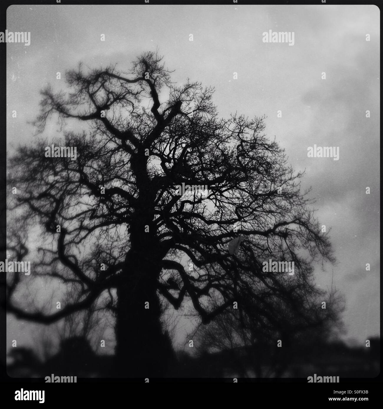 Distort nature hi-res stock photography and images - Alamy