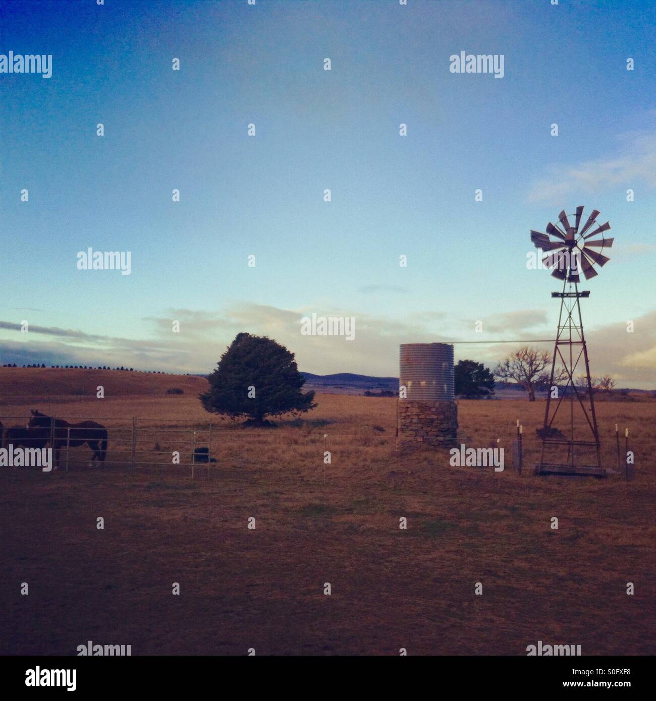 Farm in Outback Australia Stock Photo - Alamy