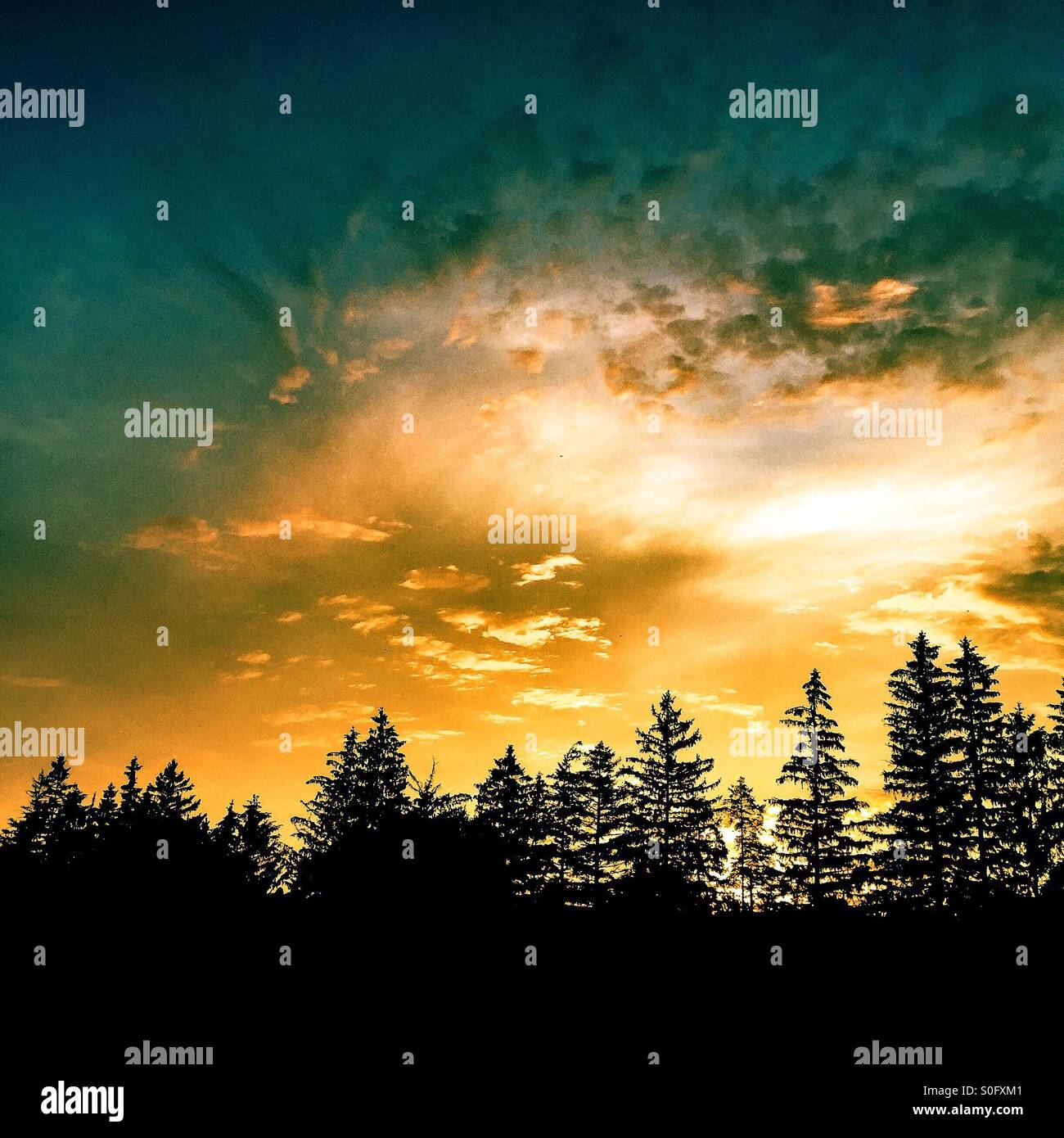 Go against Light Stock Photo - Alamy