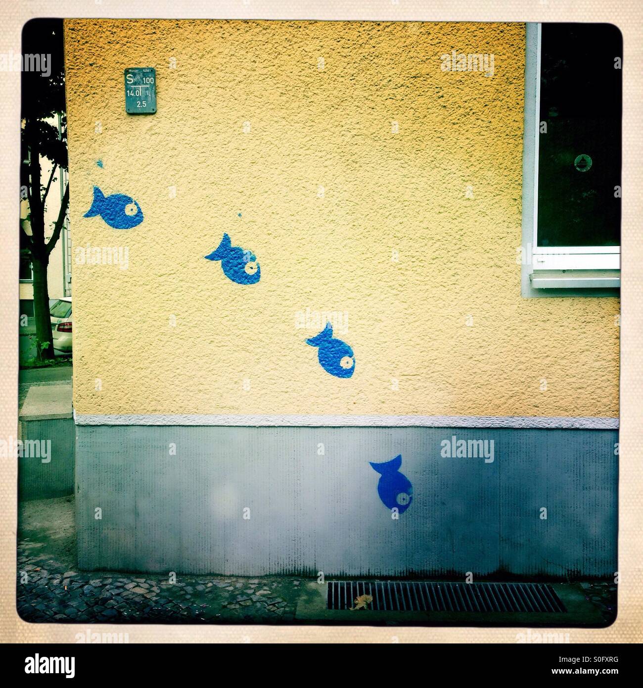 Fish urban graffiti hi-res stock photography and images - Alamy